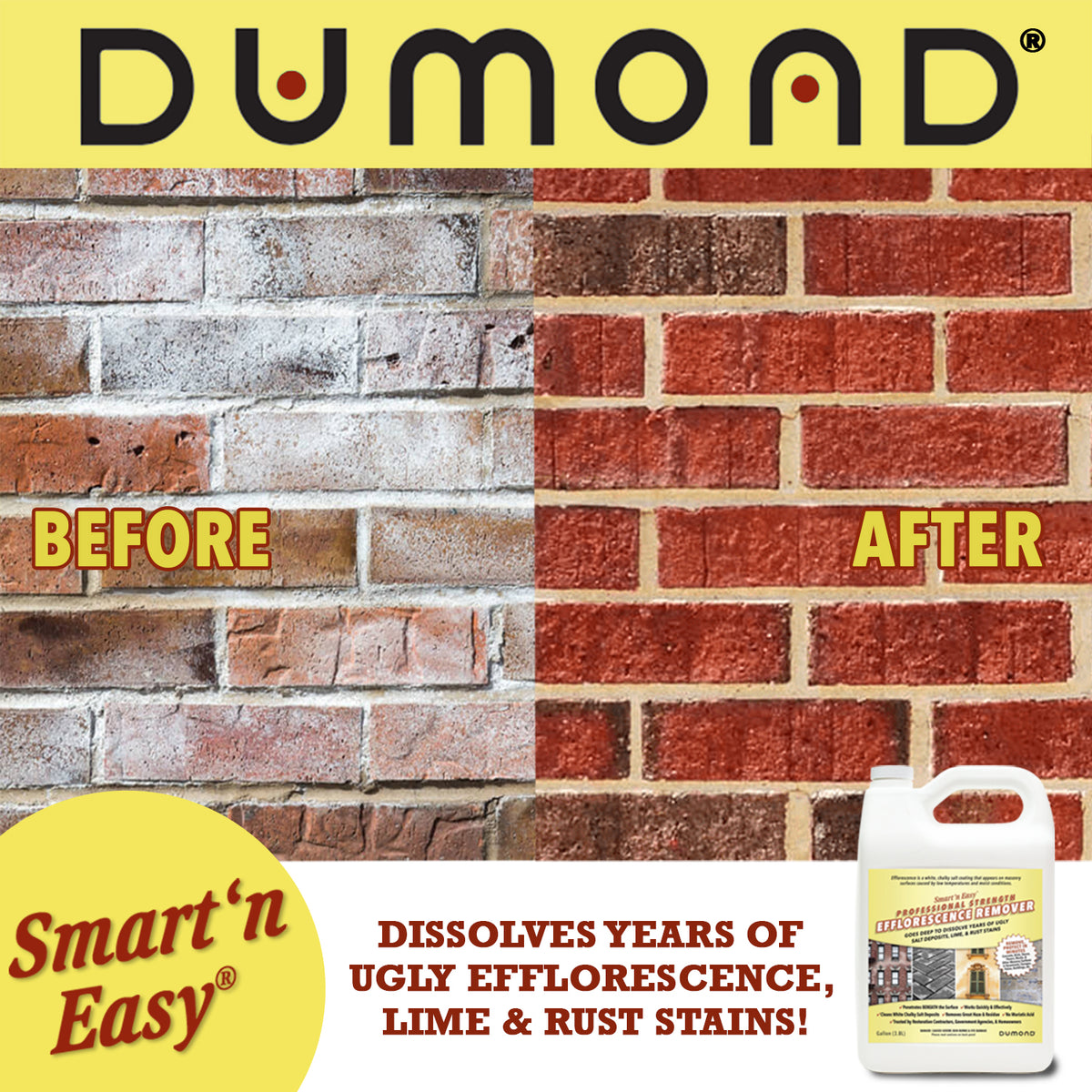 Smart ‘n Easy™ Efflorescence Remover – Dumond