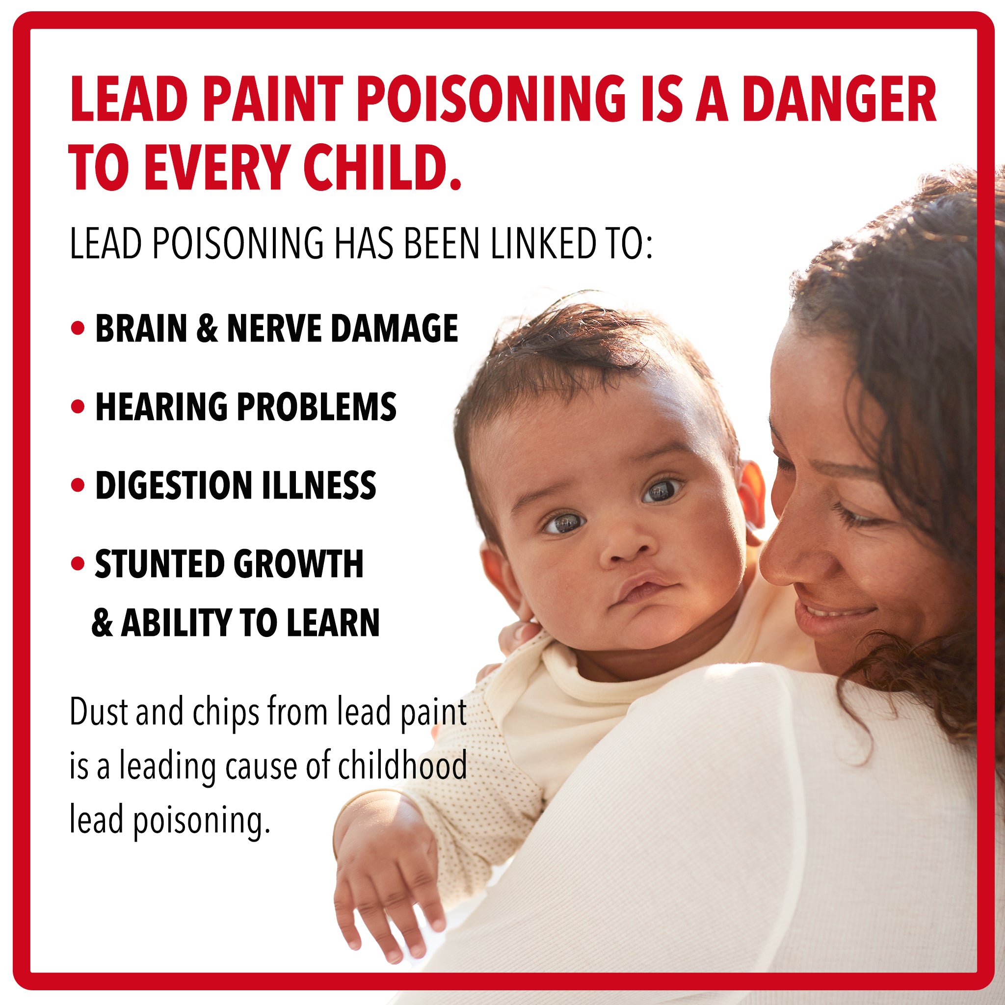 Lead Stop® Professional Lead Encapsulant – Dumond